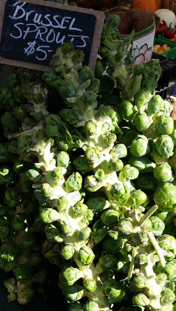 Embrace your inner Brussels sprout – Cynthia David